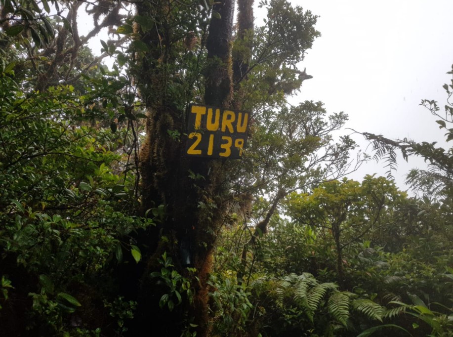 Cerro Turu - Talamanquismo